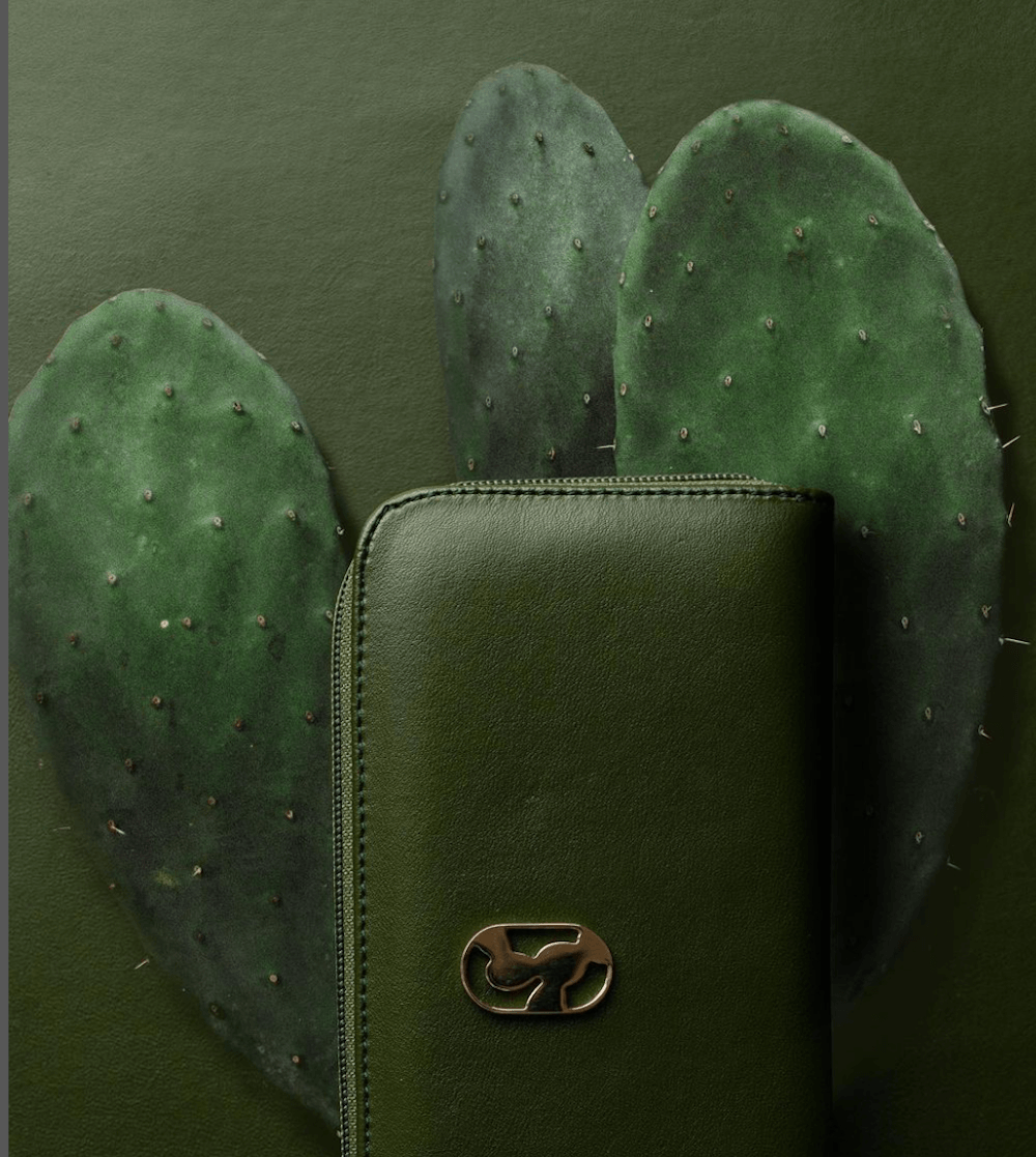 What Is Desserto Cactus Leather And Is It Sustainable? | The Momentum